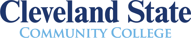 Organization banner logo